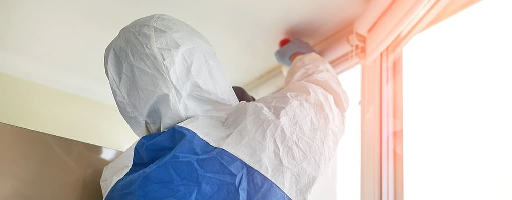 Anti Viral Cleaning - JG Pest Control